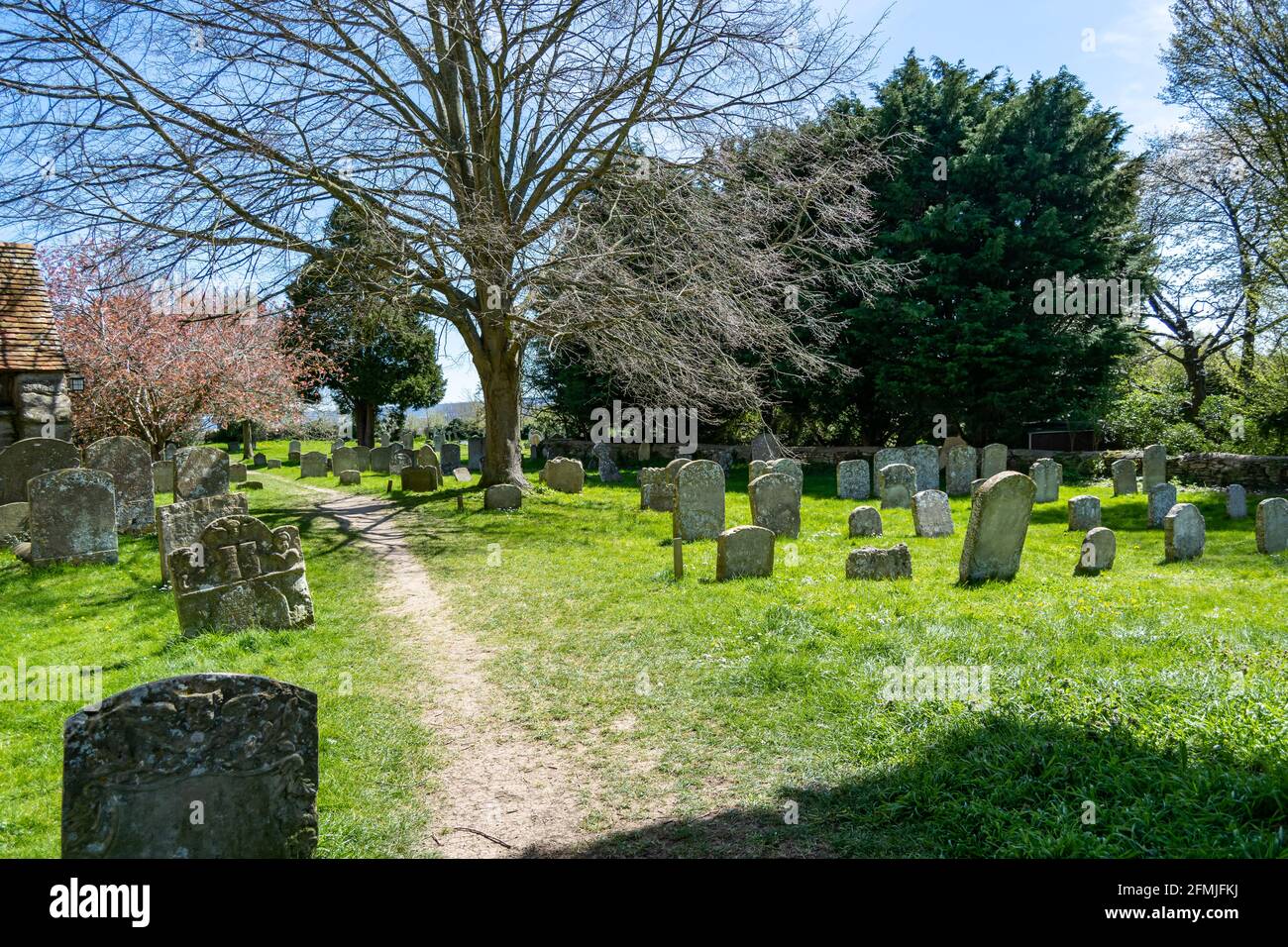 Old english cemetery in spring with green grass, bloomig flowers around ...
