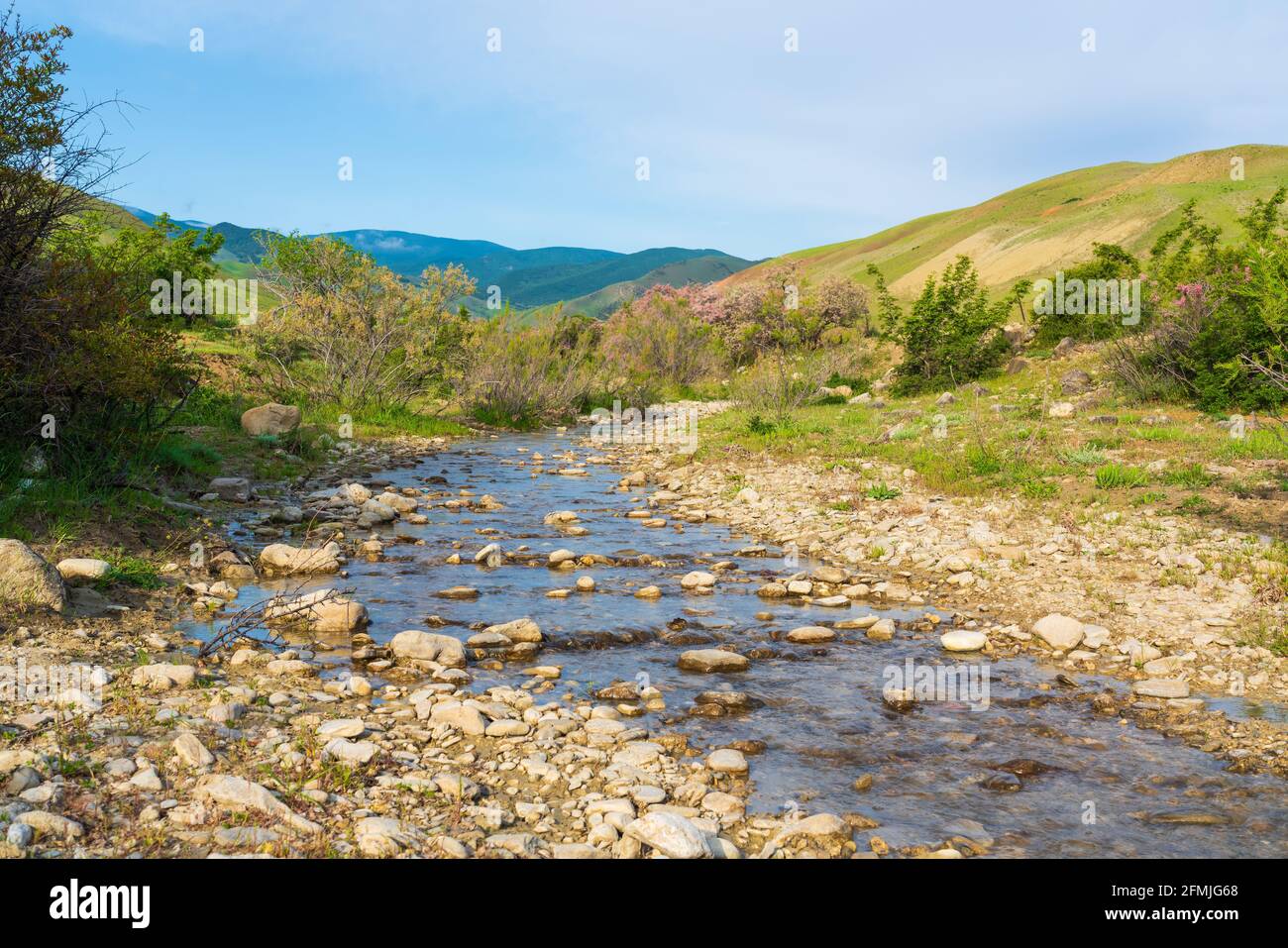 Small river ecosystem hi-res stock photography and images - Alamy
