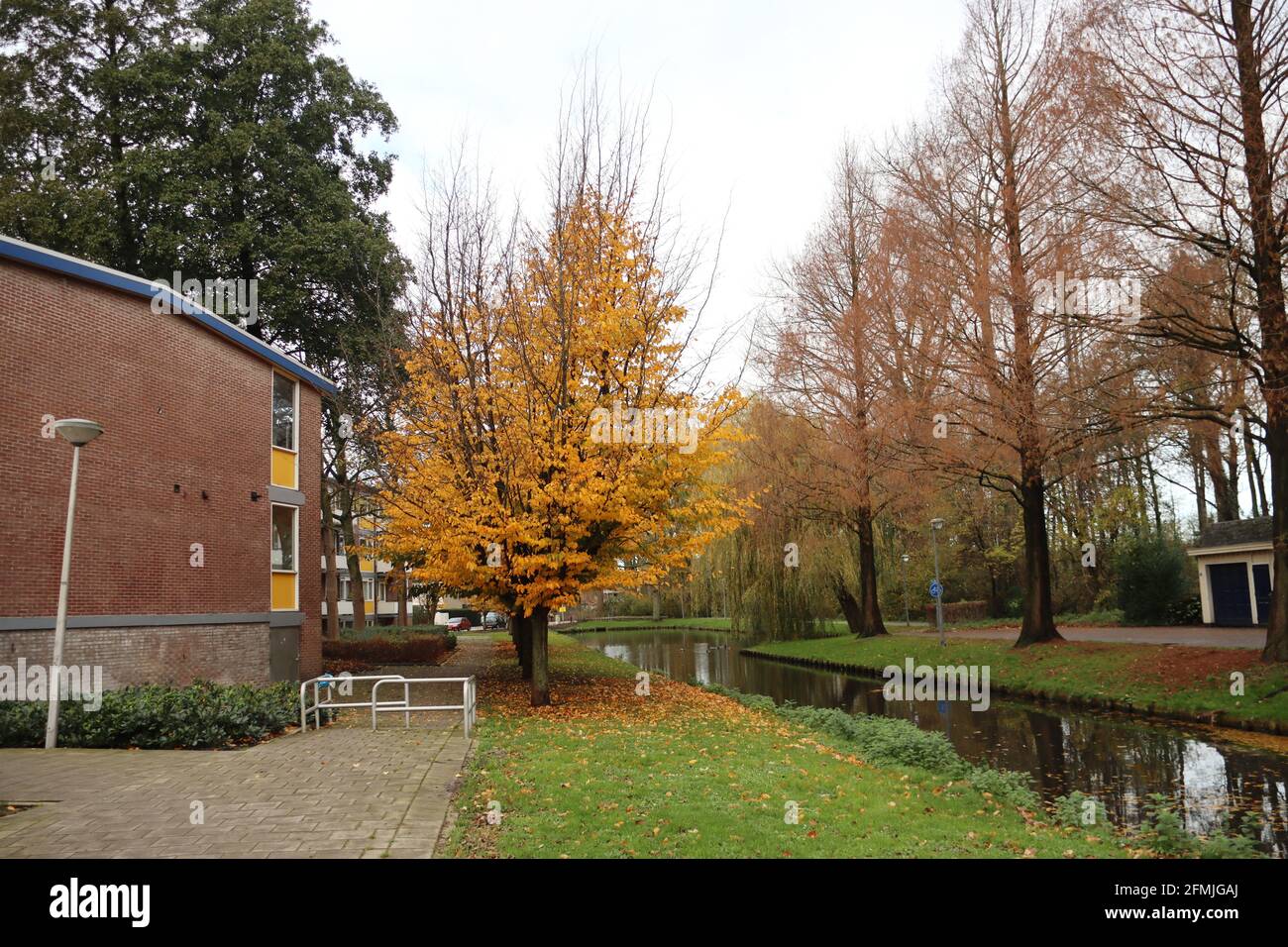 Colored leaves illuminated by sunlight during autumn in Nieuwerkerk aan ...