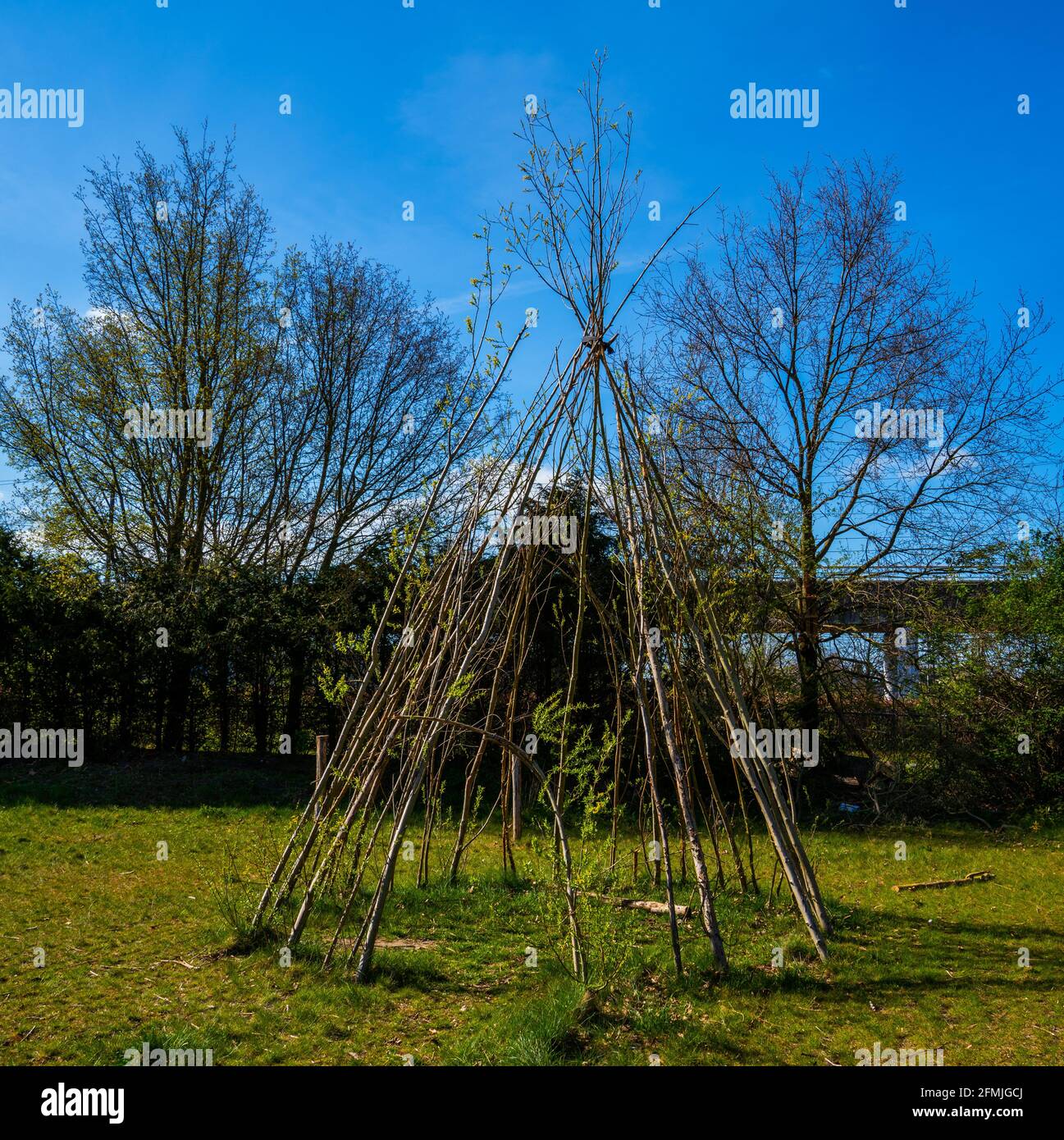 Hut made of branches hi-res stock photography and images - Alamy