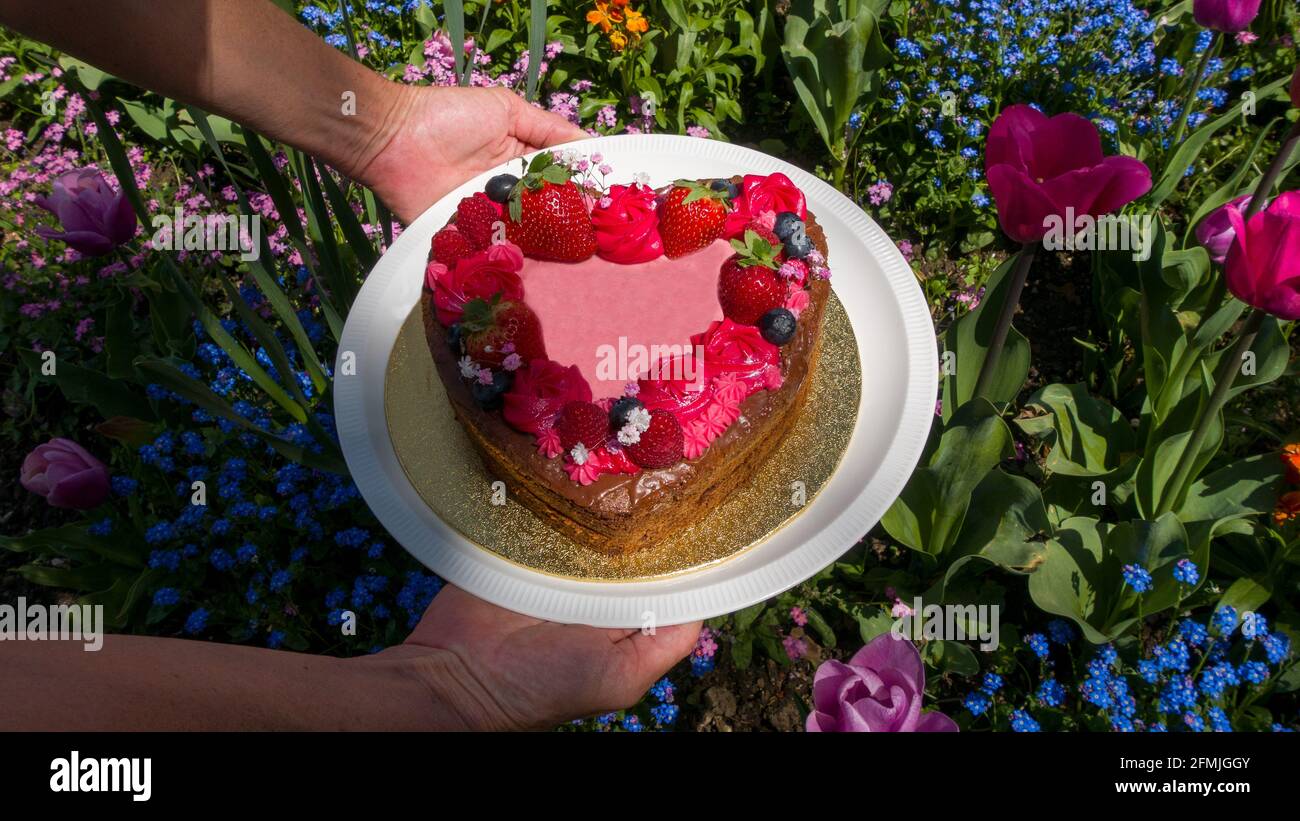 Heart shaped cake with flowers in the background Stock Photo - Alamy
