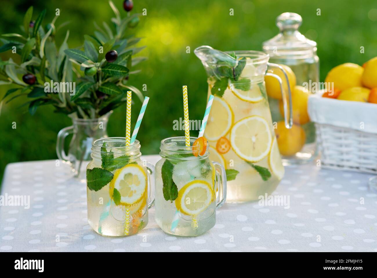 Lemonade refreshing drink in a jug and jars with lemons, fresh mint and ...