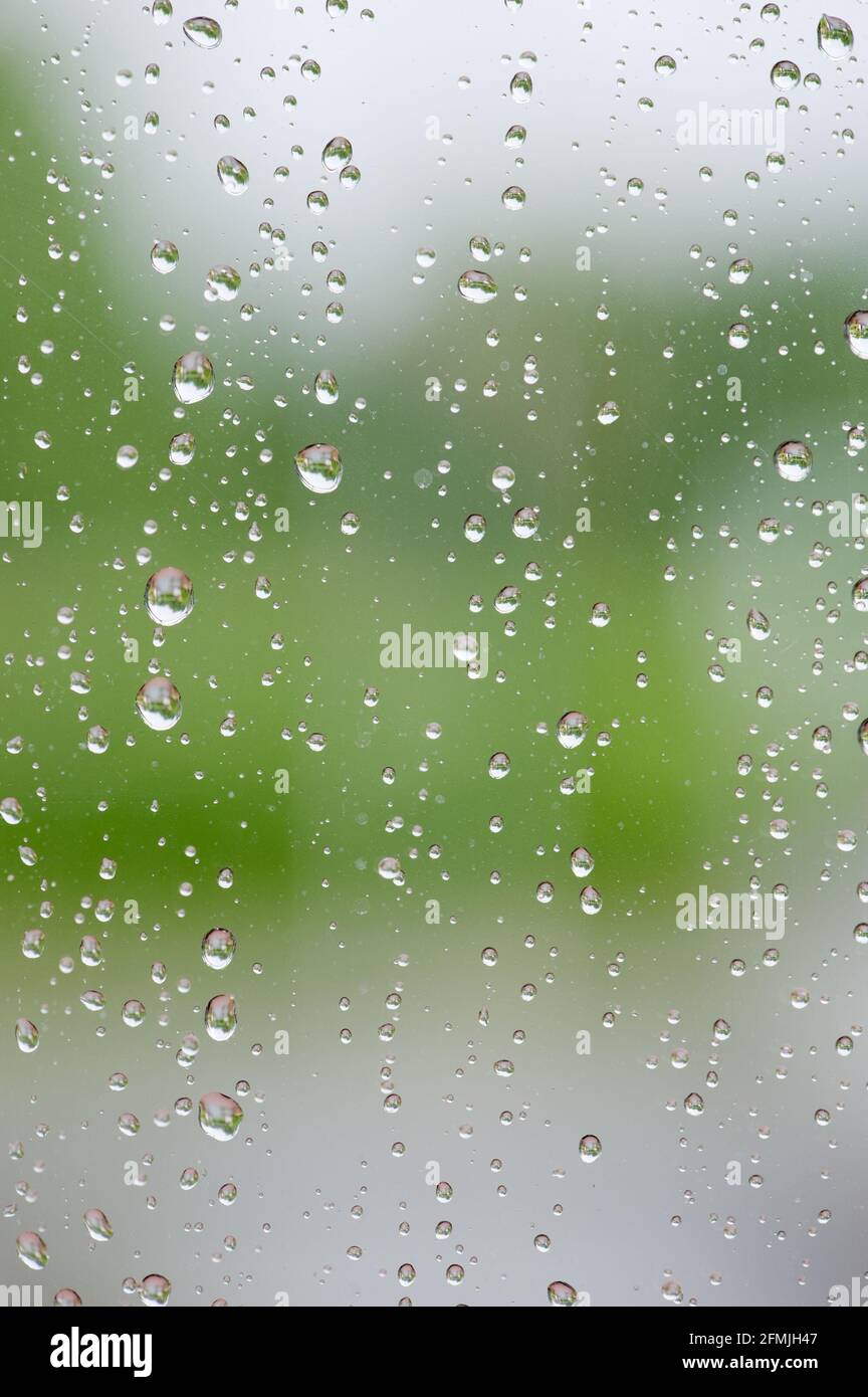Raindrops on window with green foliage background Stock Photo - Alamy