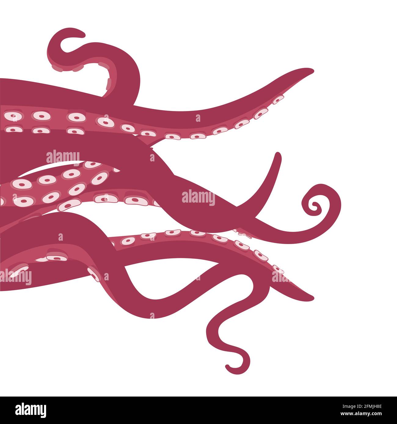 Tentacles of octopus isolated on white background. Vector Stock Vector Image & Art - Alamy