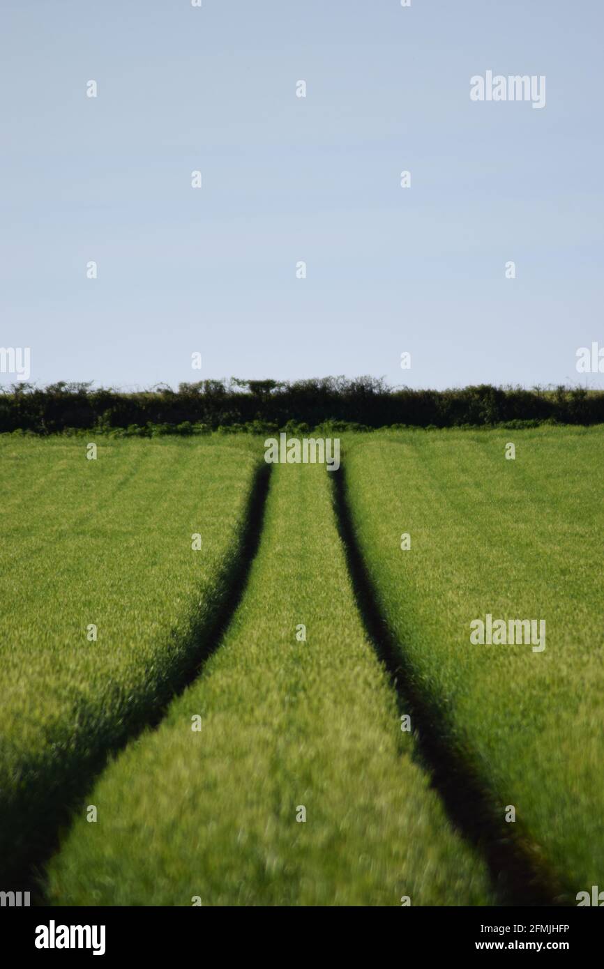 Crop and tracks hi-res stock photography and images - Alamy
