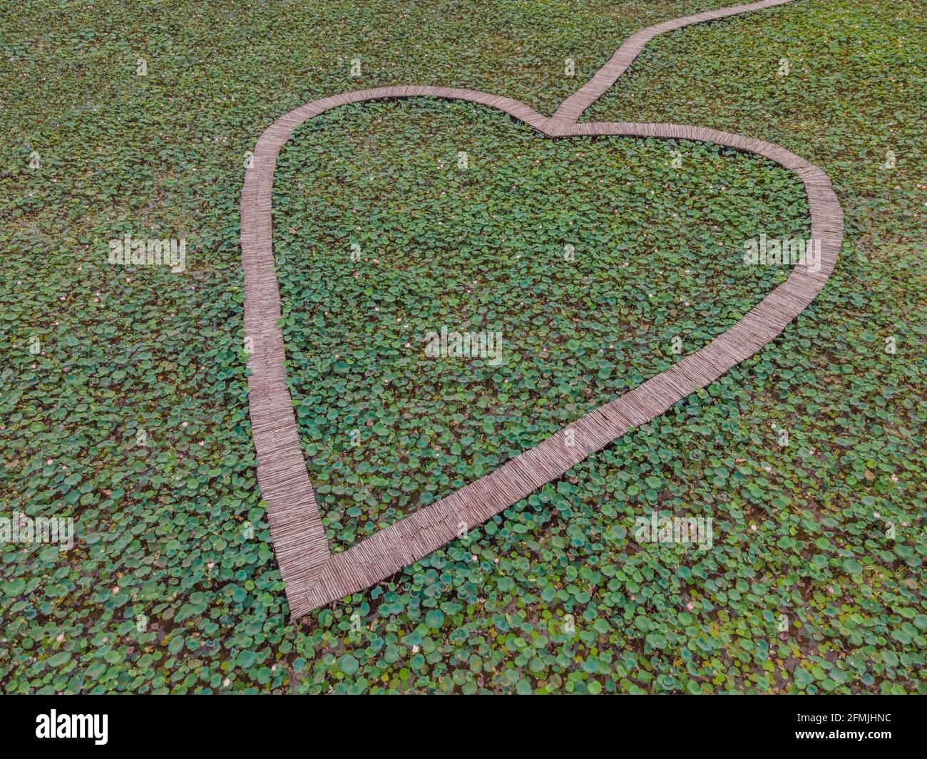 Mauritius heart hi-res stock photography and images - Alamy