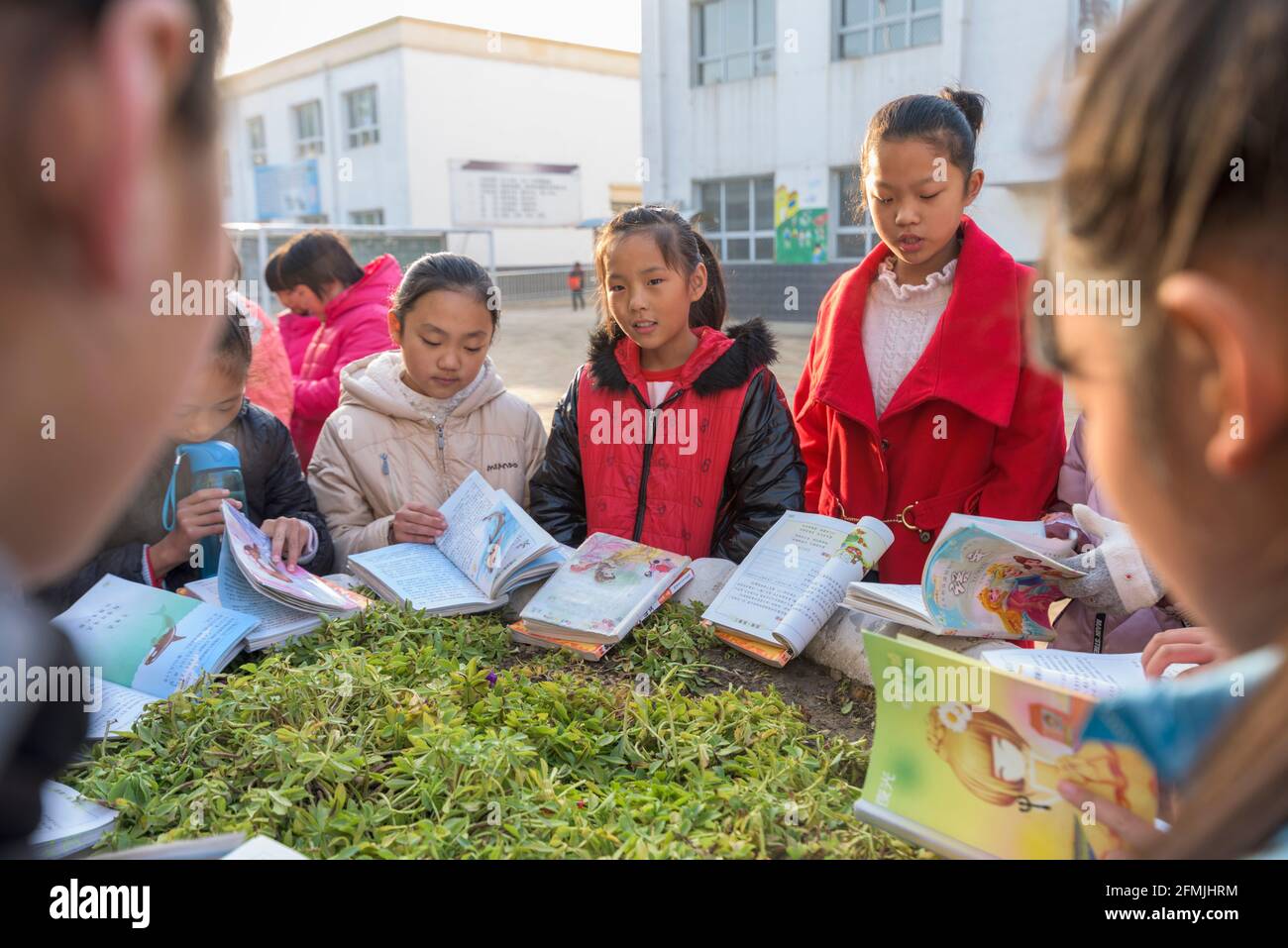 Primary group hi-res stock photography and images - Alamy