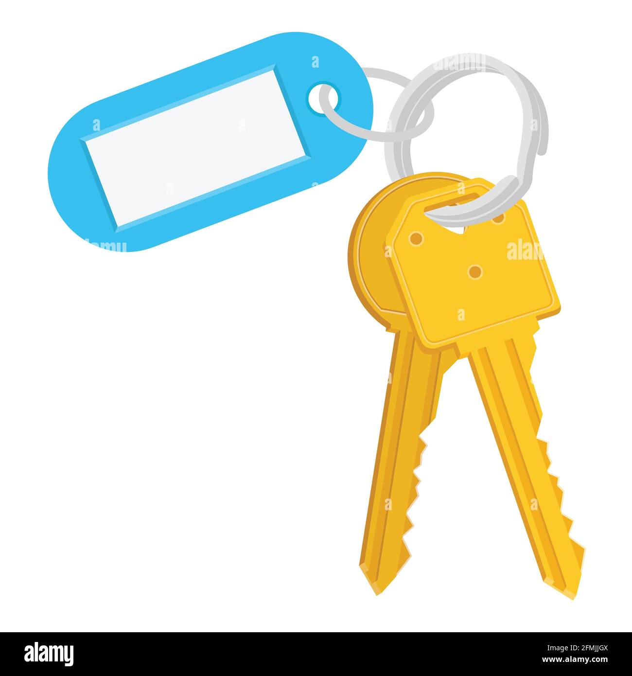 Vector illustration blank blue tag and keys. Bunch of keys with ...