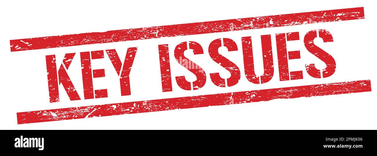 KEY ISSUES text on red grungy rectangle stamp sign Stock Photo - Alamy