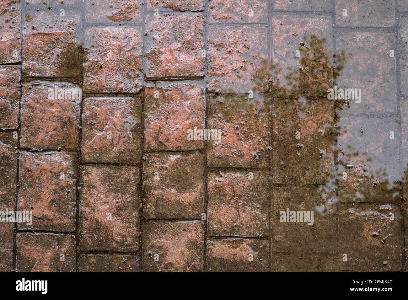stamped concrete pavement, slate stone tile on cement stones pattern ...