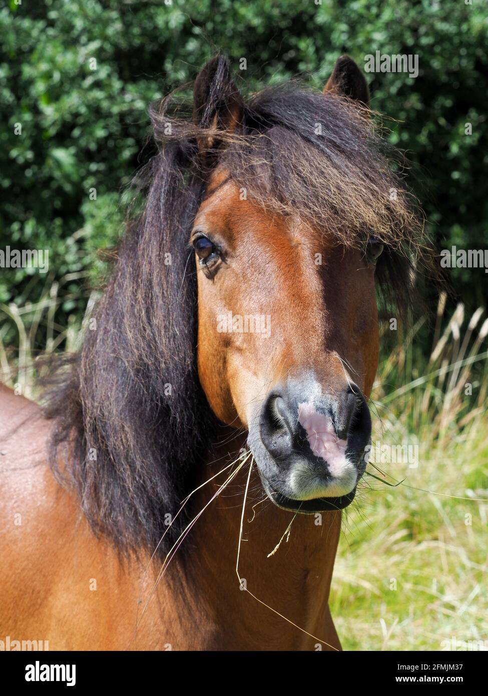 Cute bay hi-res stock photography and images - Alamy