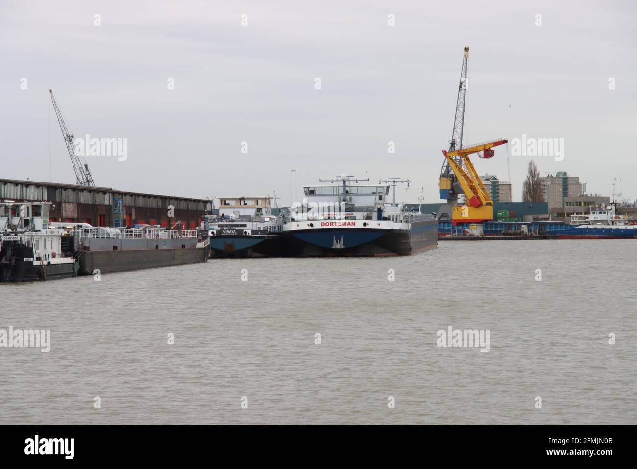 Bulk ships and cranes in de Merwehaven harbor as part of the port of ...