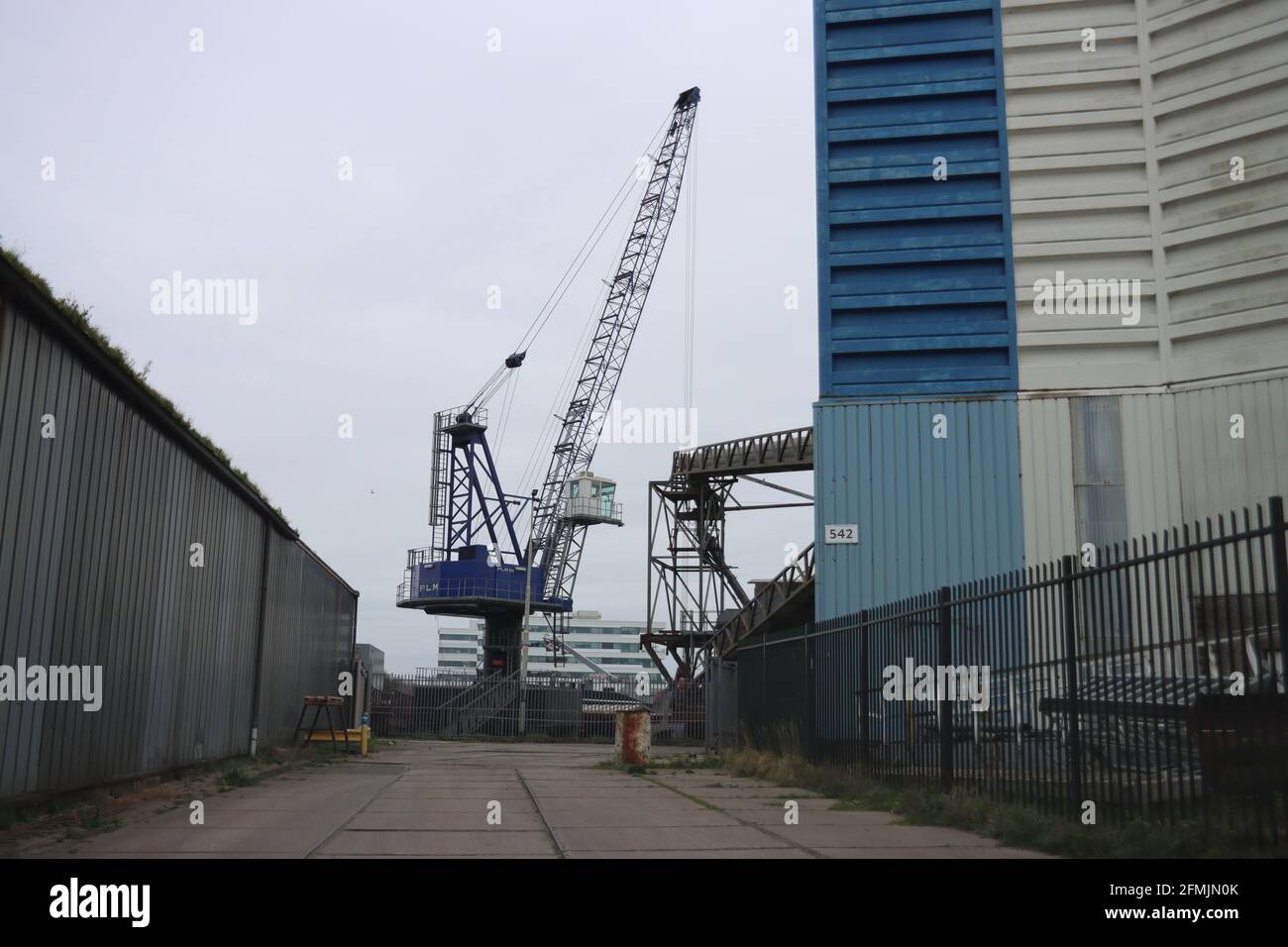 Bulk ships and cranes in de Merwehaven harbor as part of the port of ...