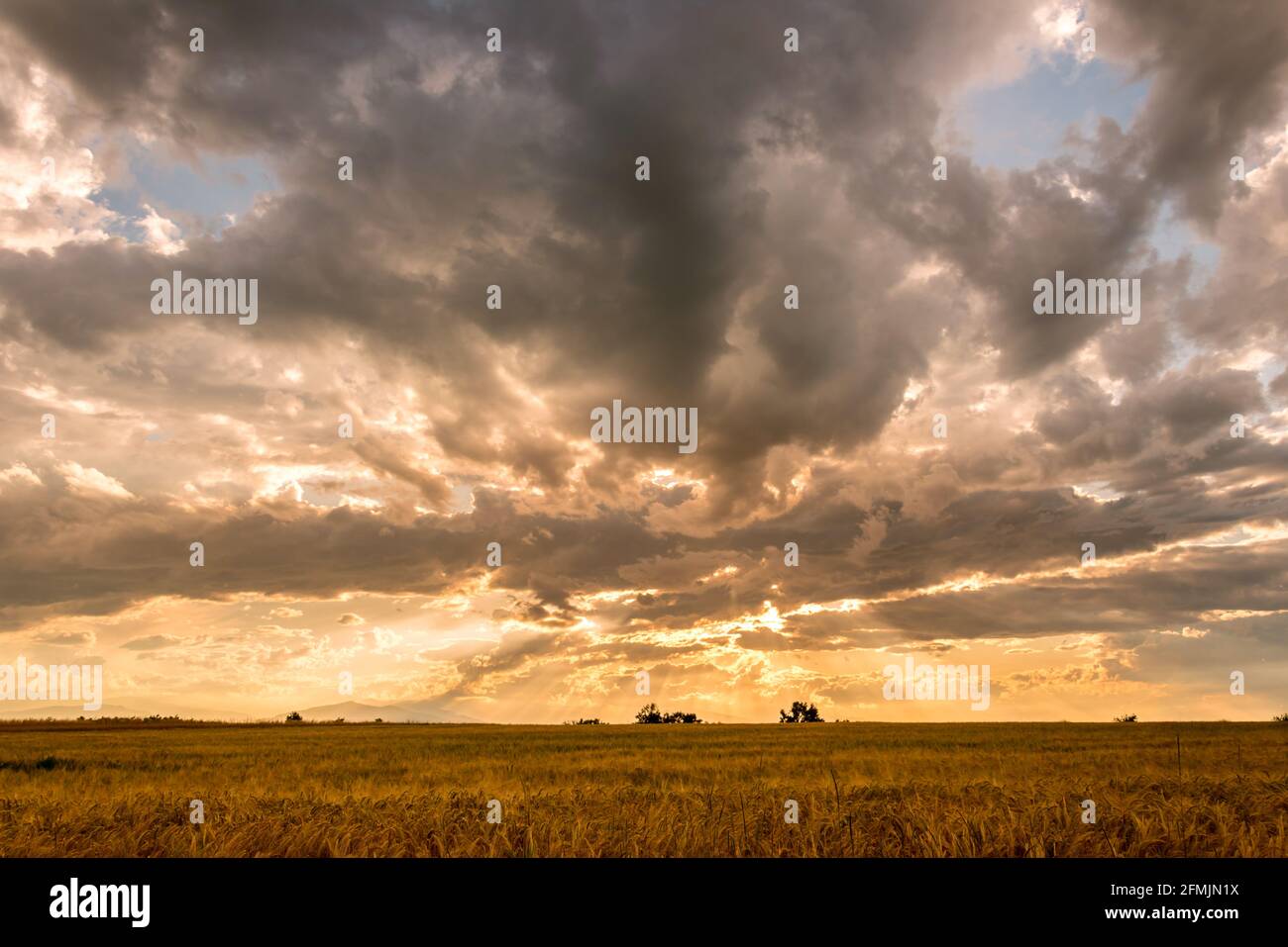Landscape of cloudy sky at sunset with sun rays in the clouds after ...