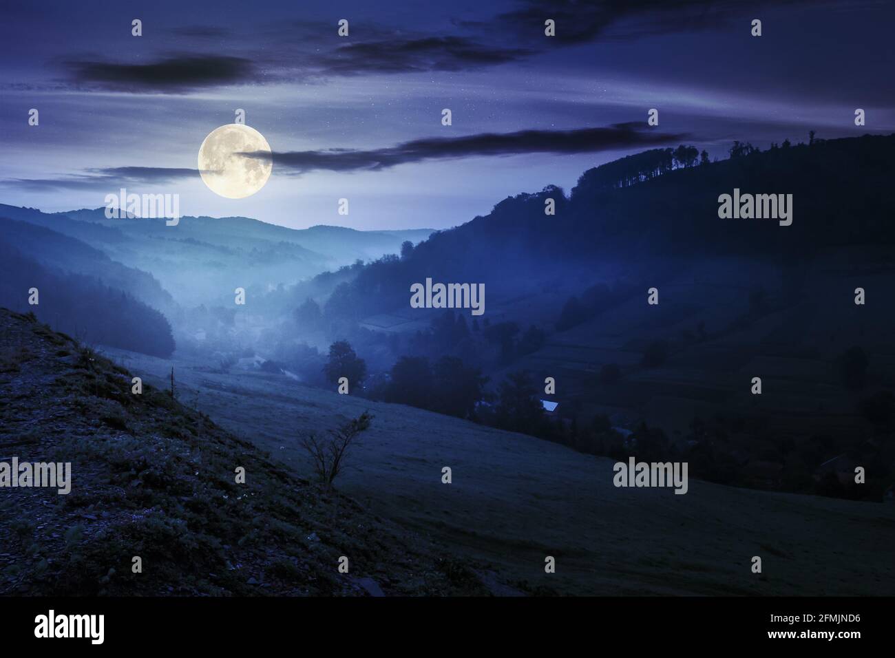 Foggy night in forest village hi-res stock photography and images - Alamy