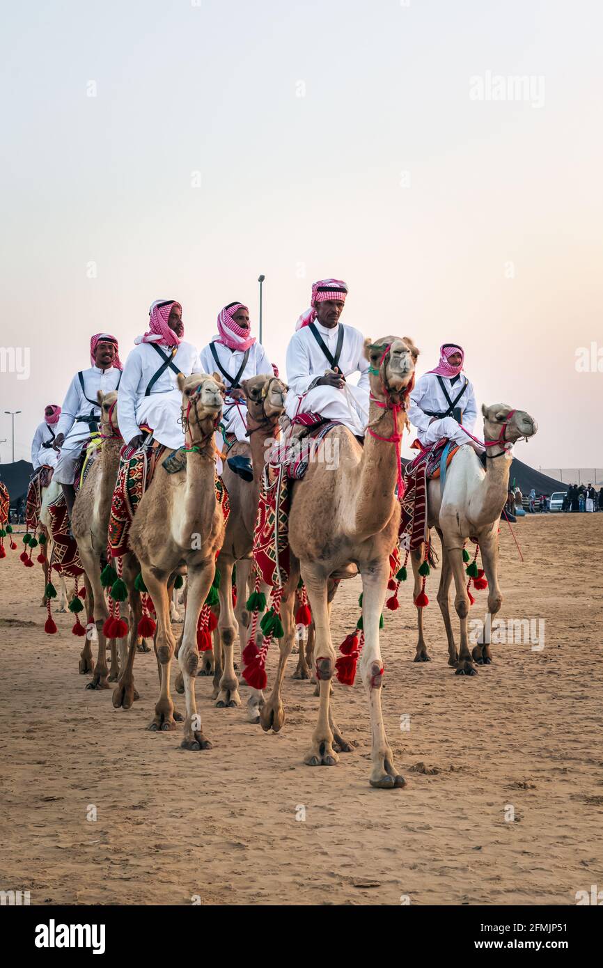 Desert safari camel ride festival in Abqaiq Dammam Saudi Arabia Stock ...