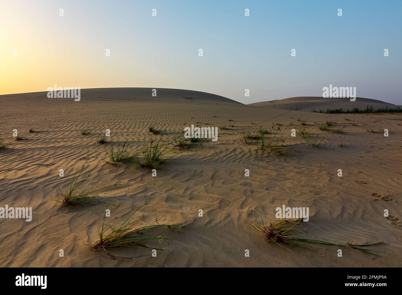 Beautiful Desert landscape view in Dammam Saudi Arabia Stock Photo - Alamy