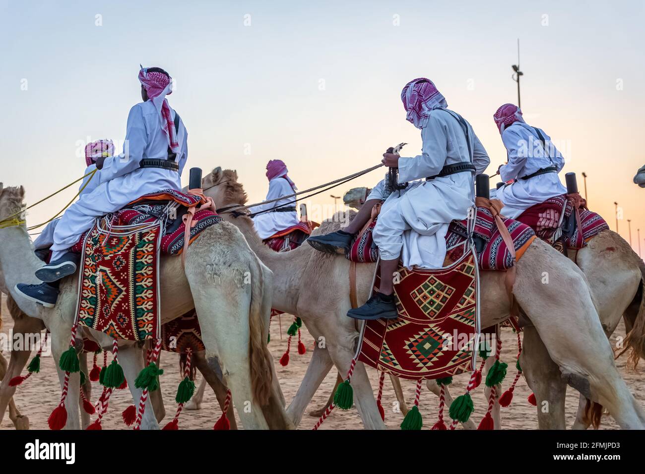 Desert safari camel ride festival in Abqaiq Dammam Saudi Arabia Stock ...