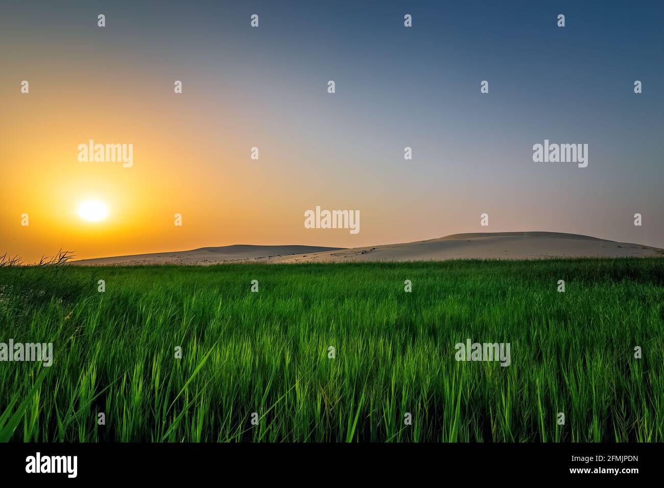 Beautiful Desert landscape view in Dammam Saudi Arabia Stock Photo - Alamy
