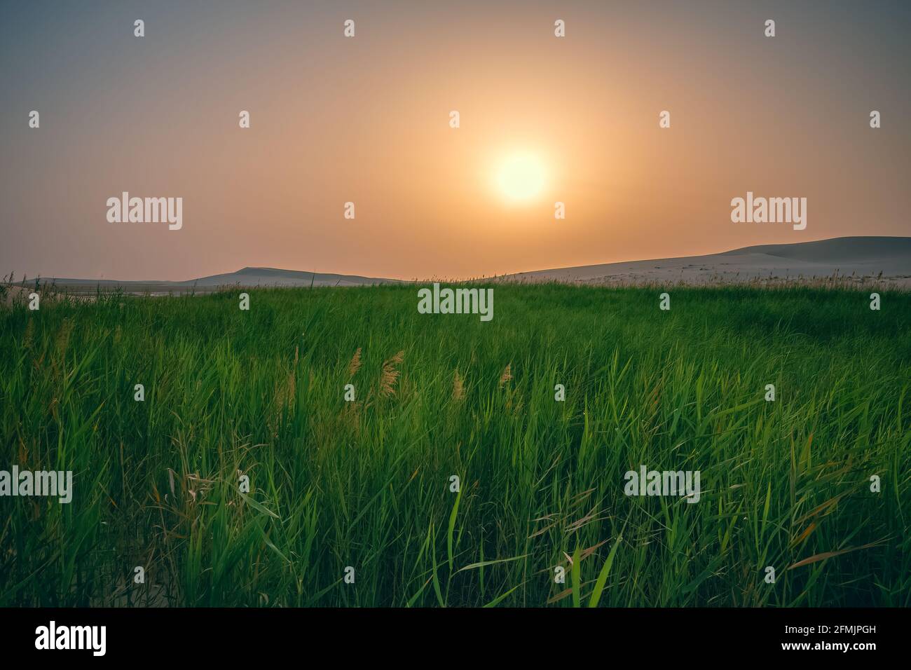 Beautiful Desert landscape view in Dammam Saudi Arabia Stock Photo - Alamy