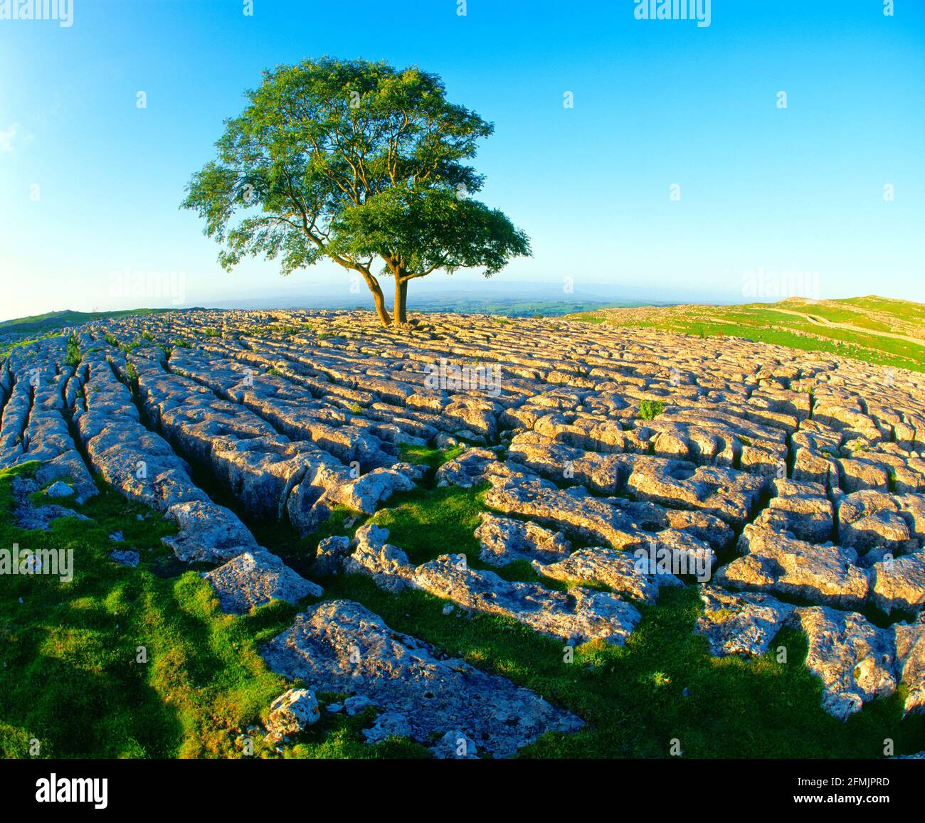 UK, England, North Yorkshire, Dales, Malham Cove, limestone escarpment ...