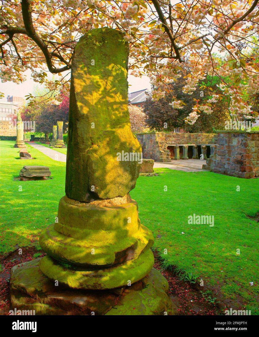 UK, England, Cheshire, Chester, city centre, roman baths Stock Photo ...