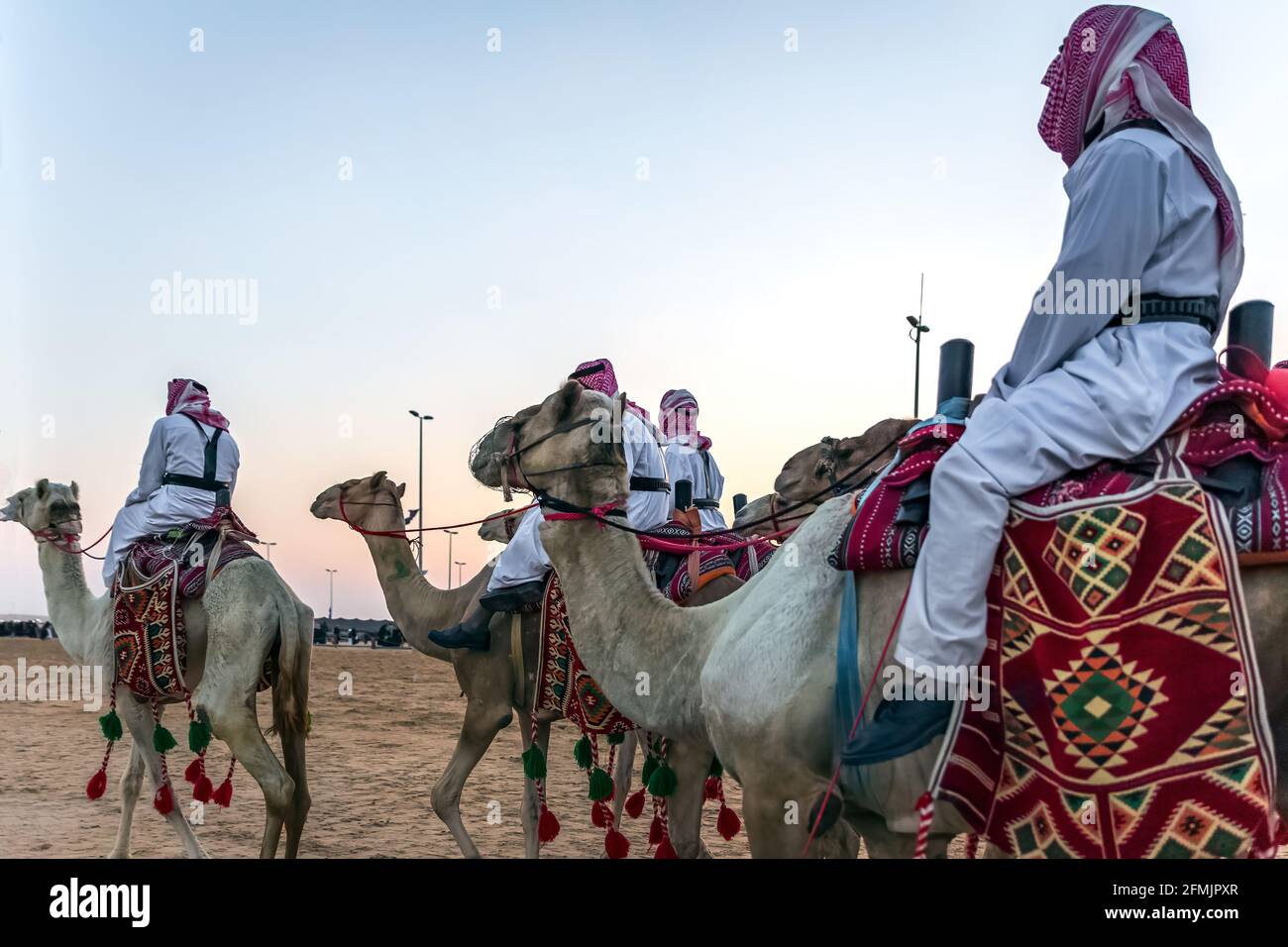 Desert safari camel ride festival in Abqaiq Dammam Saudi Arabia Stock ...