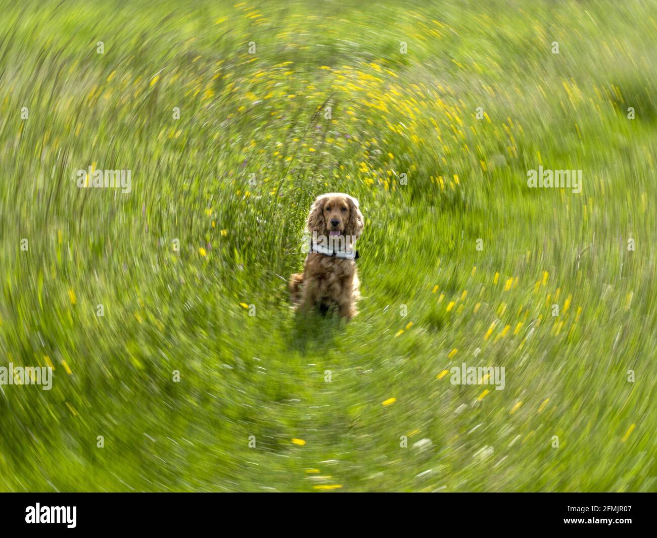 Camera movment hi-res stock photography and images - Alamy