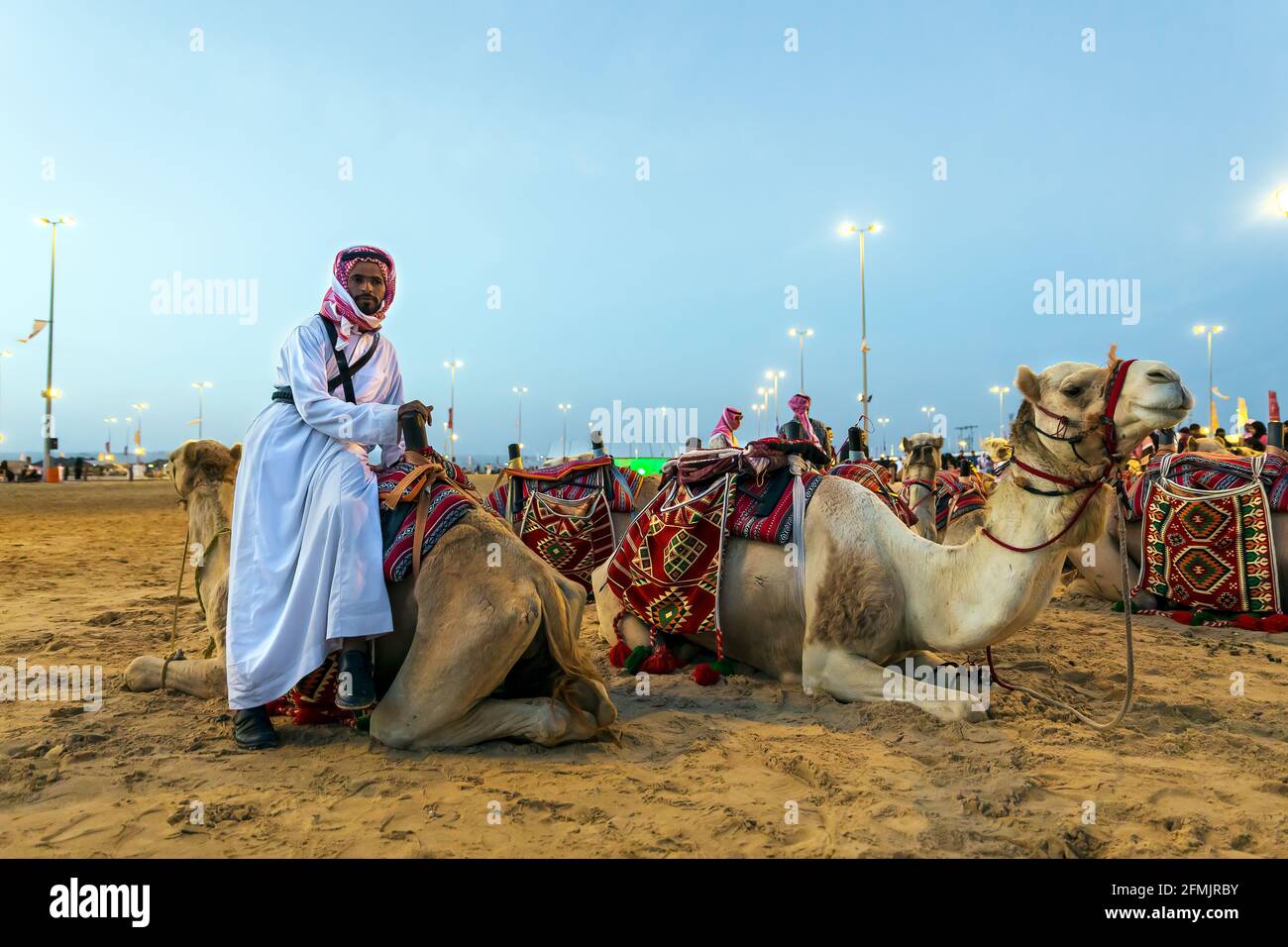 Saudi arabia desert camel hi-res stock photography and images - Alamy