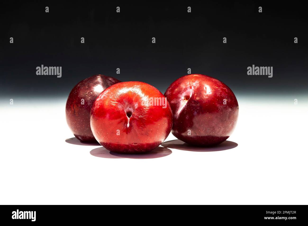Fresh Plums on a graduated background, Northampton, England, UK Stock ...