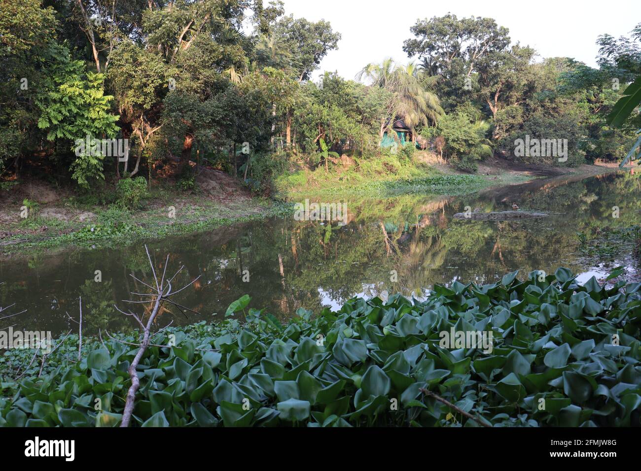 Kochuripana hi-res stock photography and images - Alamy