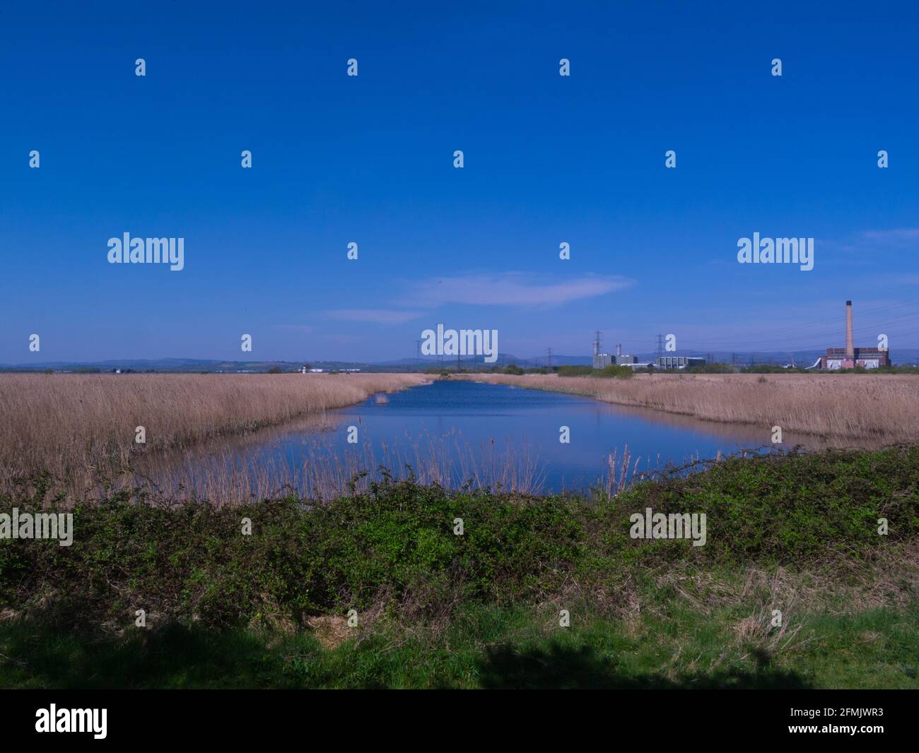 One of the lagoons surrounded by reed beds Newport Wetlands Nature ...