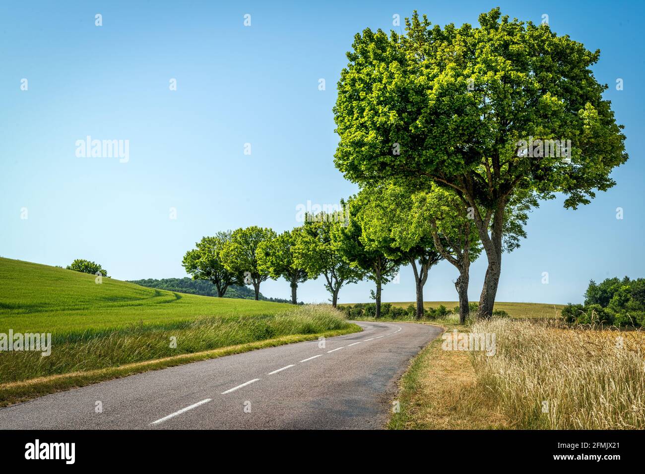 A typically French country road scene - The Short & Winding Road Stock ...