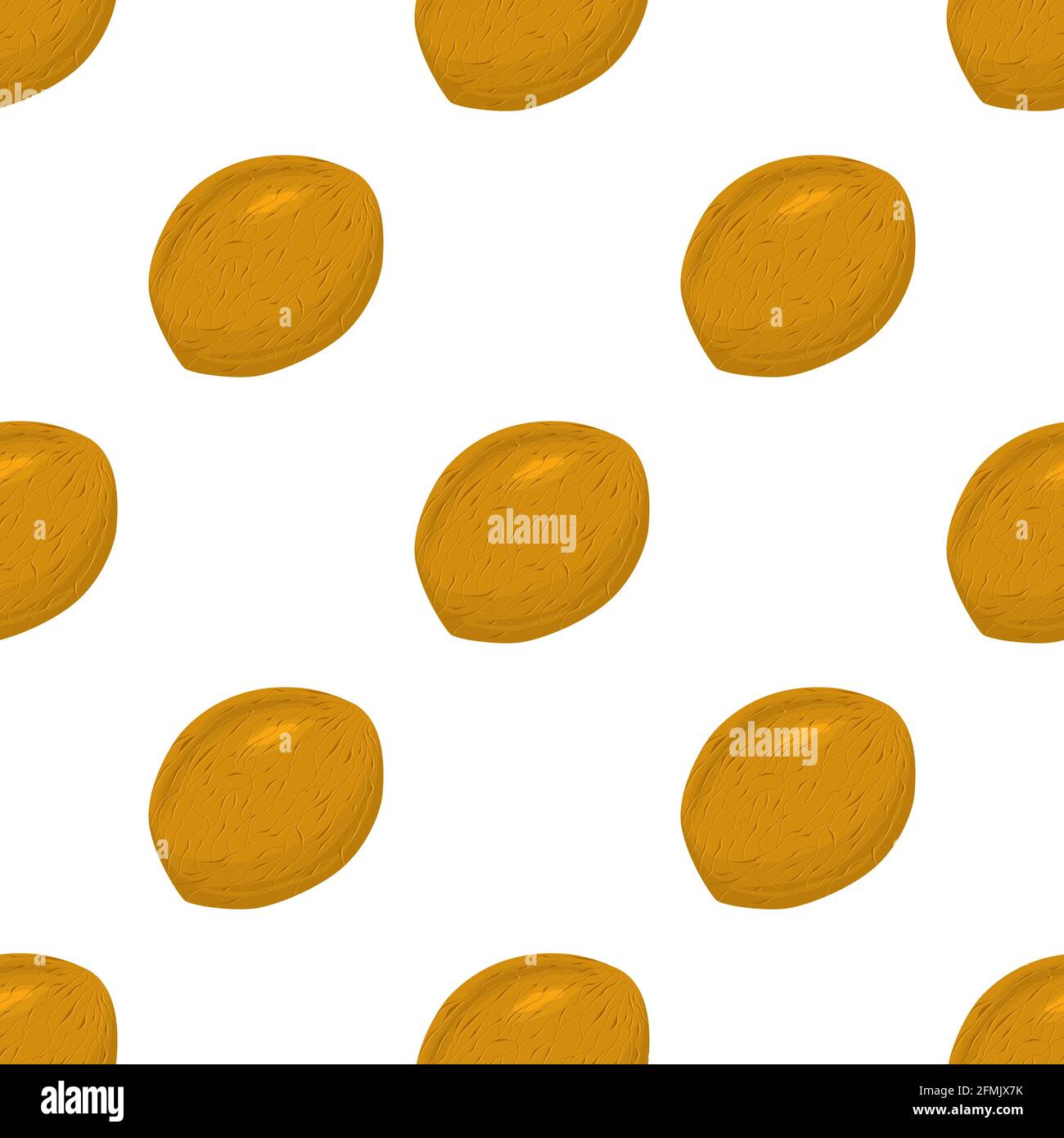 Illustration on theme big pattern identical types walnut, nut equal ...