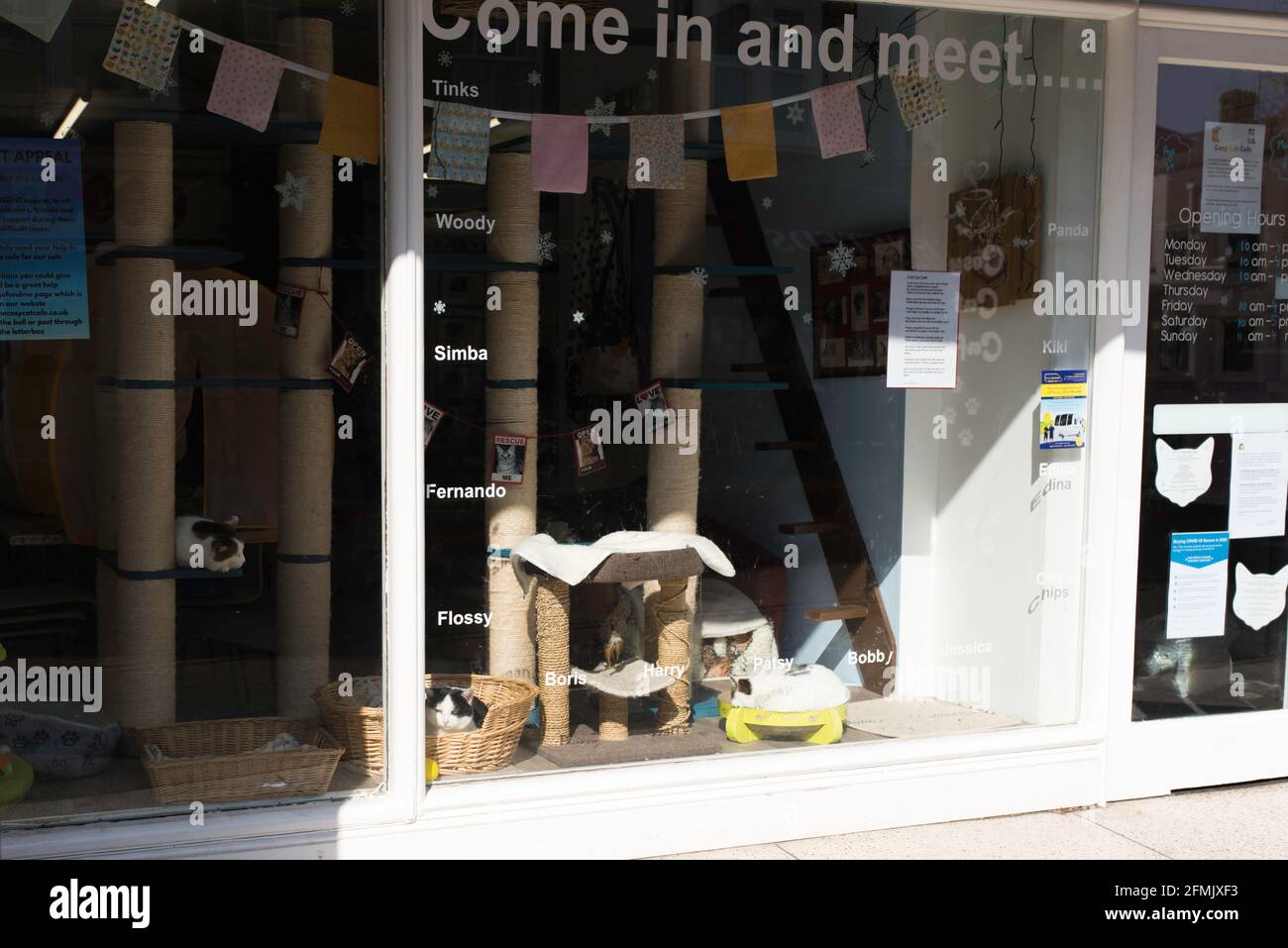 Cat cafe, Herne Bay town centre, Kent, England, UK Stock Photo - Alamy