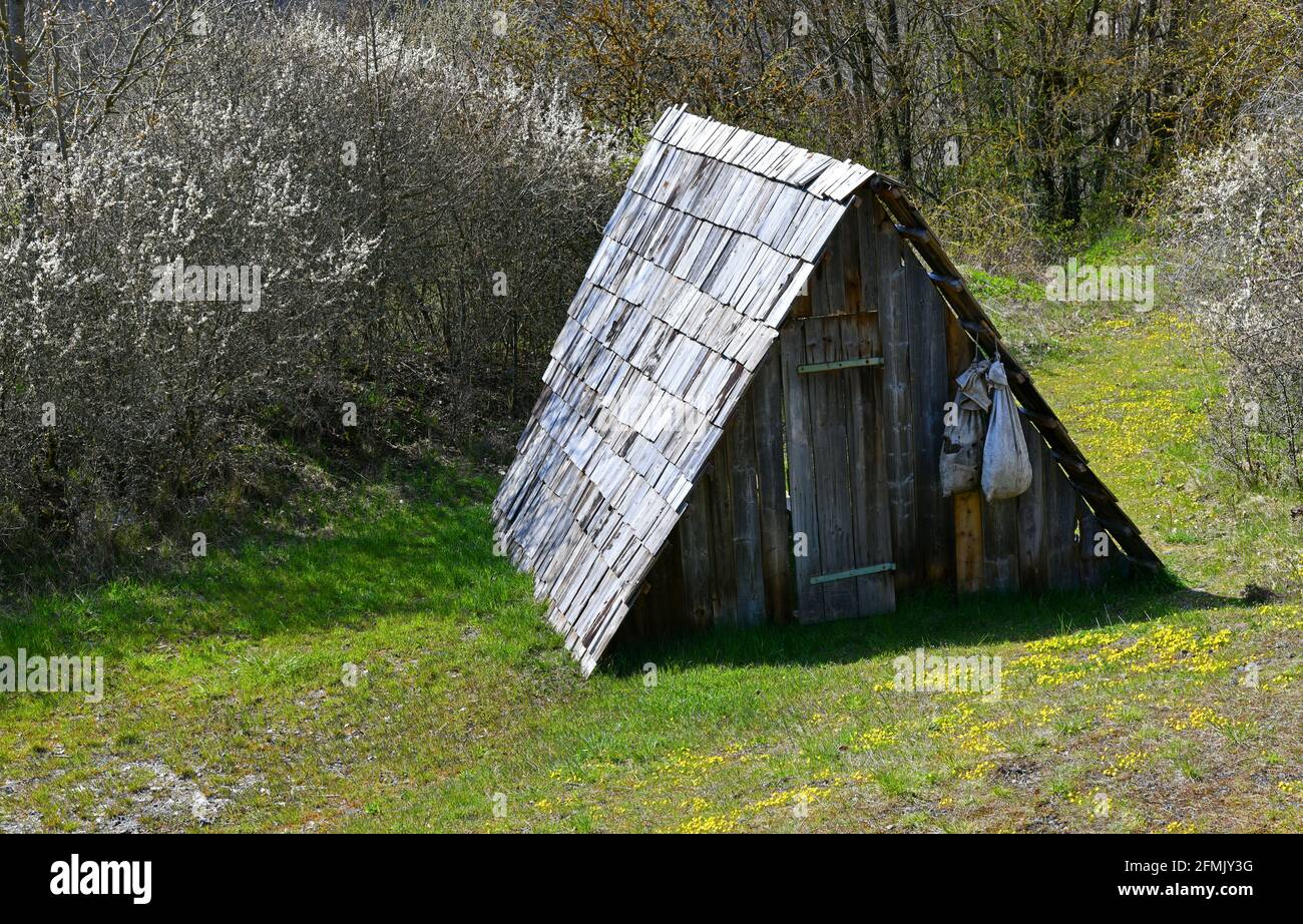 old huts in the forest Stock Photo - Alamy