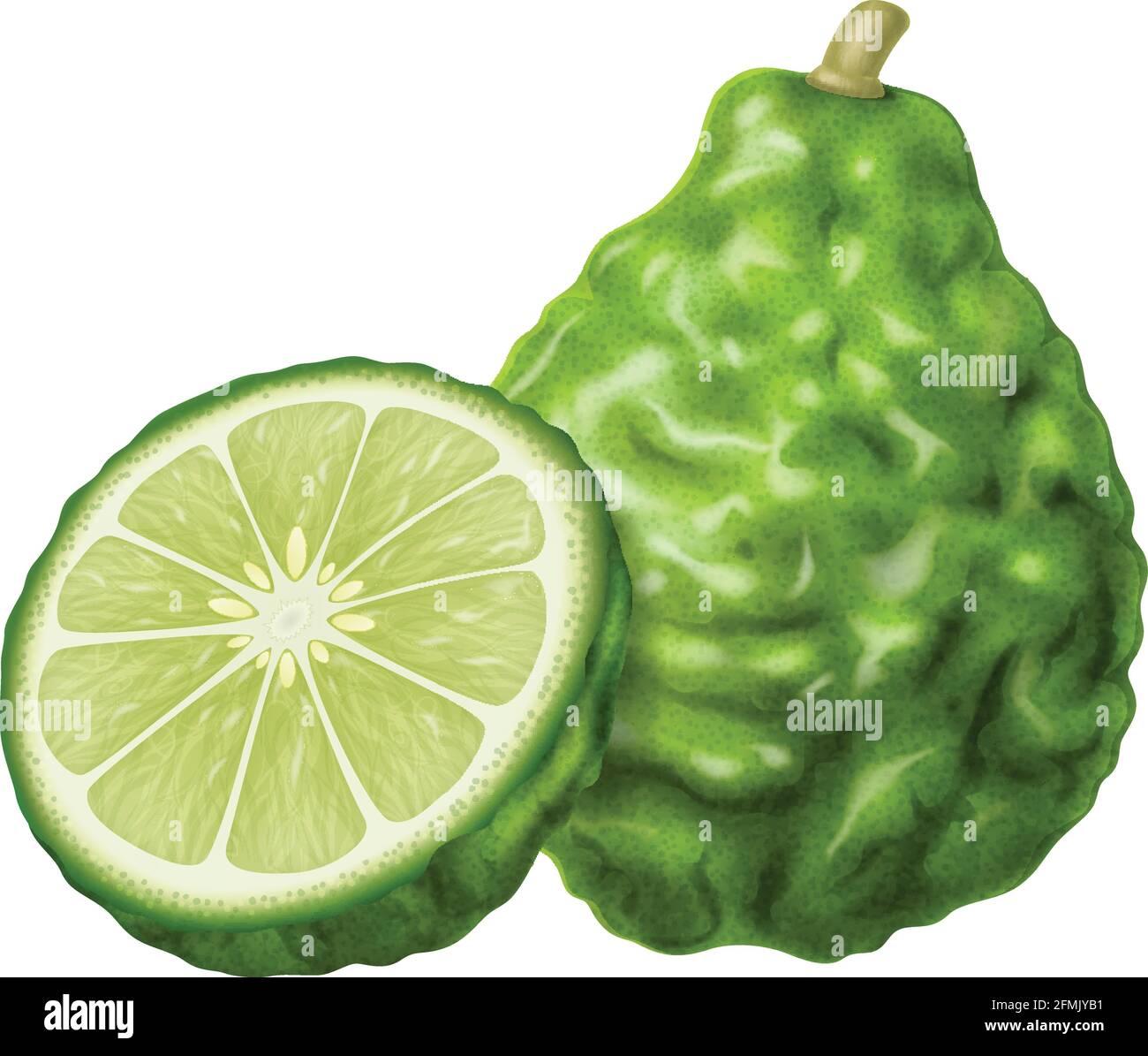 Makrut Stock Vector Images - Alamy