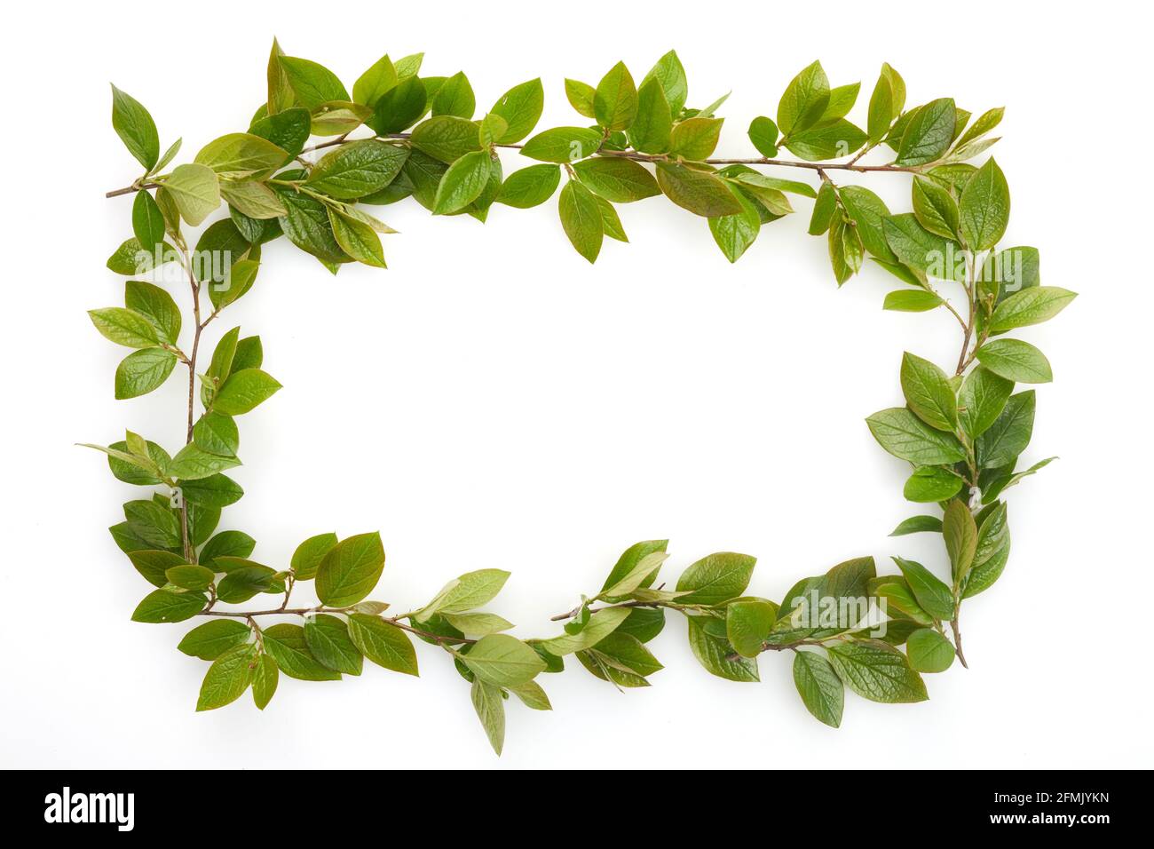 Green leaves frame isolated on white background Stock Photo - Alamy