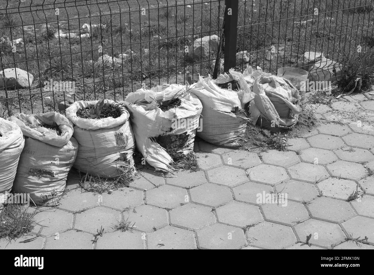 Torn sack hi-res stock photography and images - Alamy