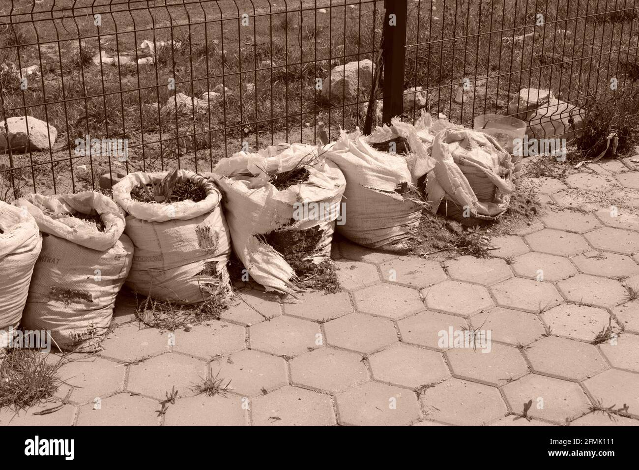 Torn sack hi-res stock photography and images - Alamy