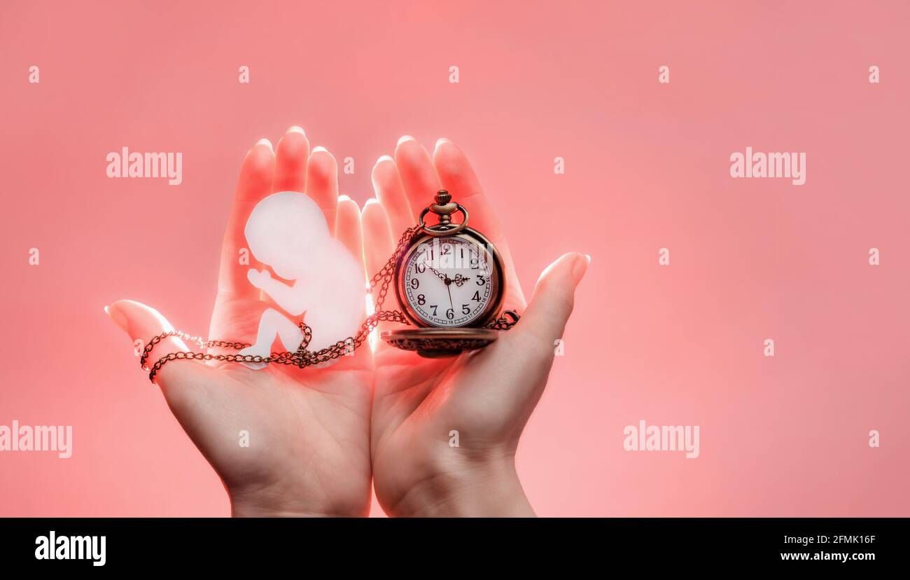 Embryo silhouette from paper with chain and clock in woman hands with ...