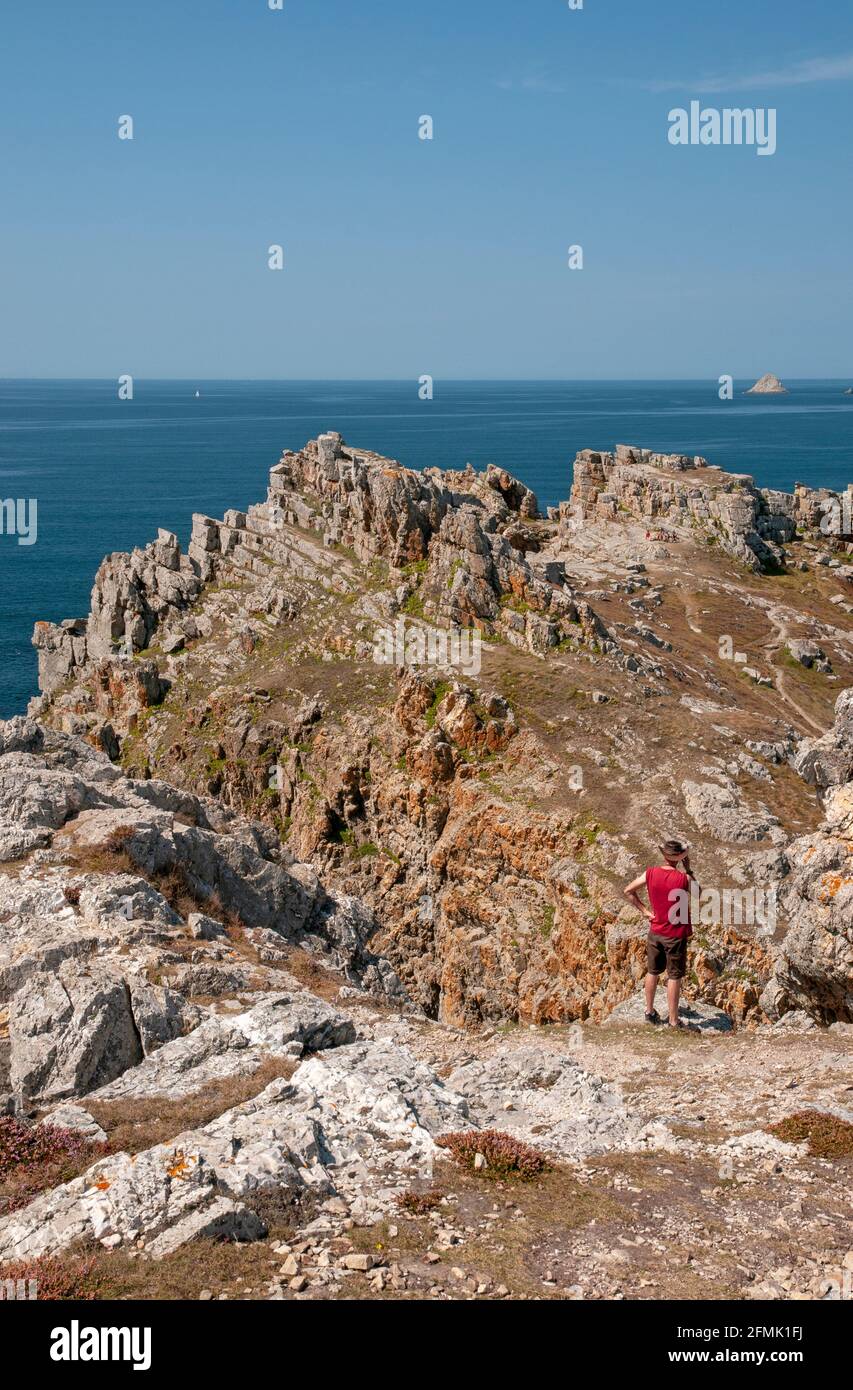 Ruins of castle at Pointe de Dinan, Armorique Regional National Park ...