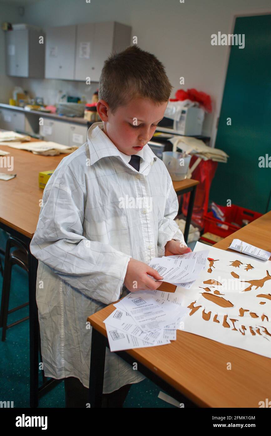 Junior School Art lesson screen printing Stock Photo - Alamy