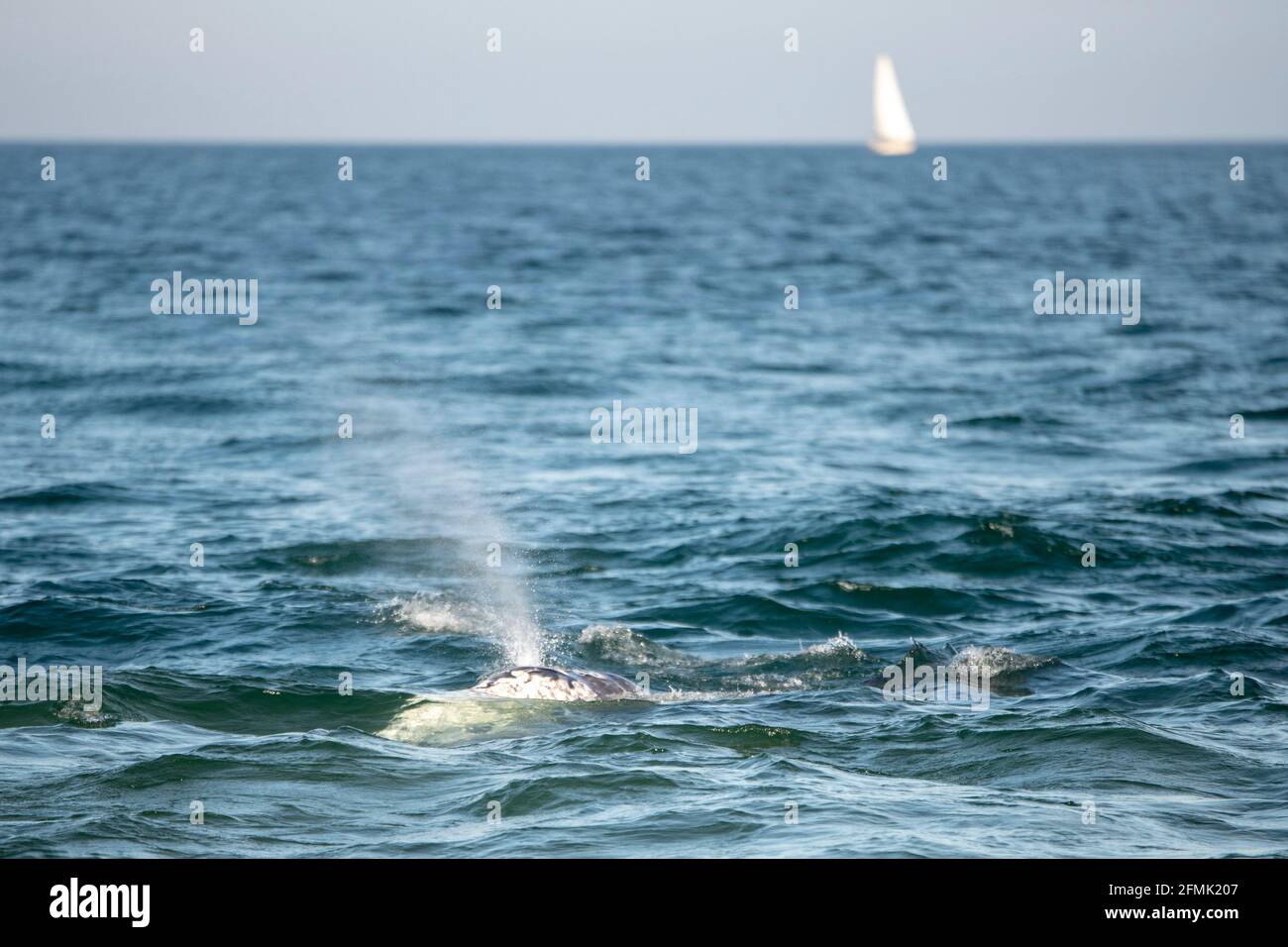 Wally beach hi-res stock photography and images - Alamy