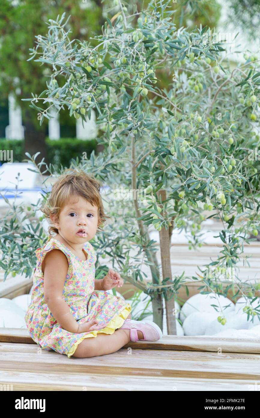 Toddler girl sitting next to green olive tree with green olives on ...