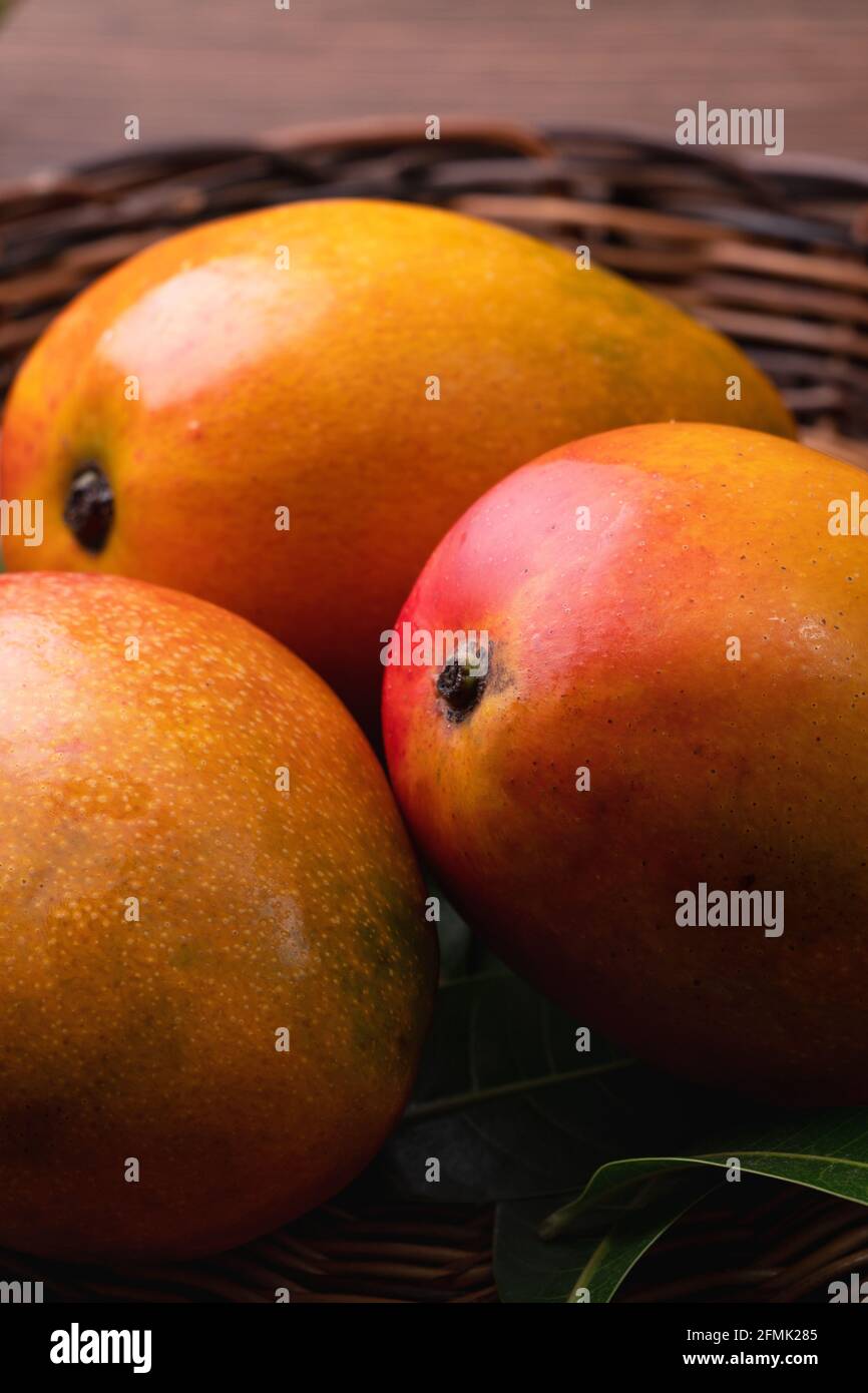 Mango. Close up of fresh ripe mango fruit on a bamboo sieve over dark ...