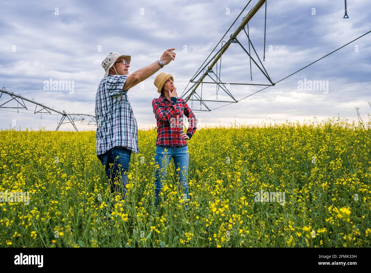 Proud two generations farmers are standing in their rapeseed field ...