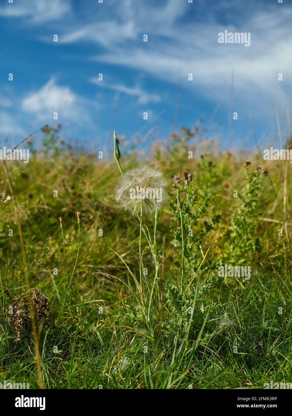 King georges field hi-res stock photography and images - Alamy