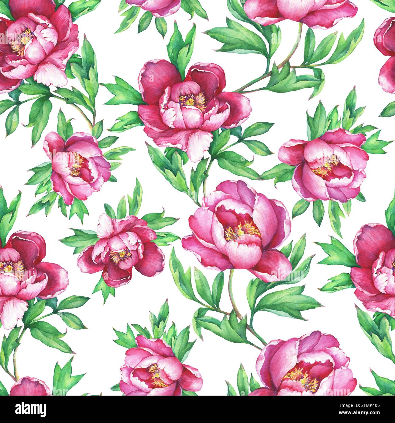 Vintage floral seamless pattern with flowering pink peonies, on white ...
