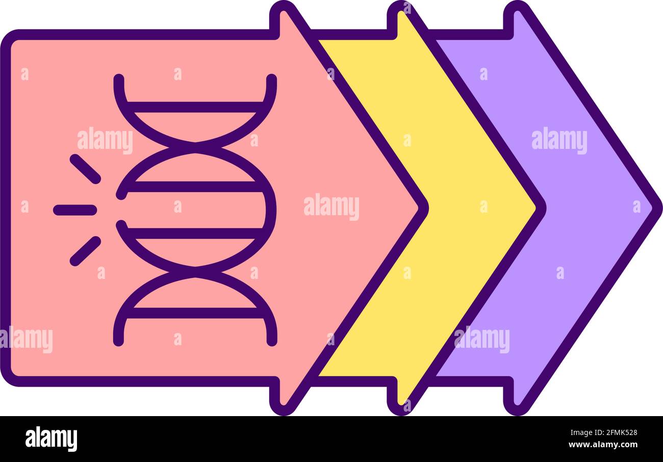 Human evolution sequence hi-res stock photography and images - Alamy